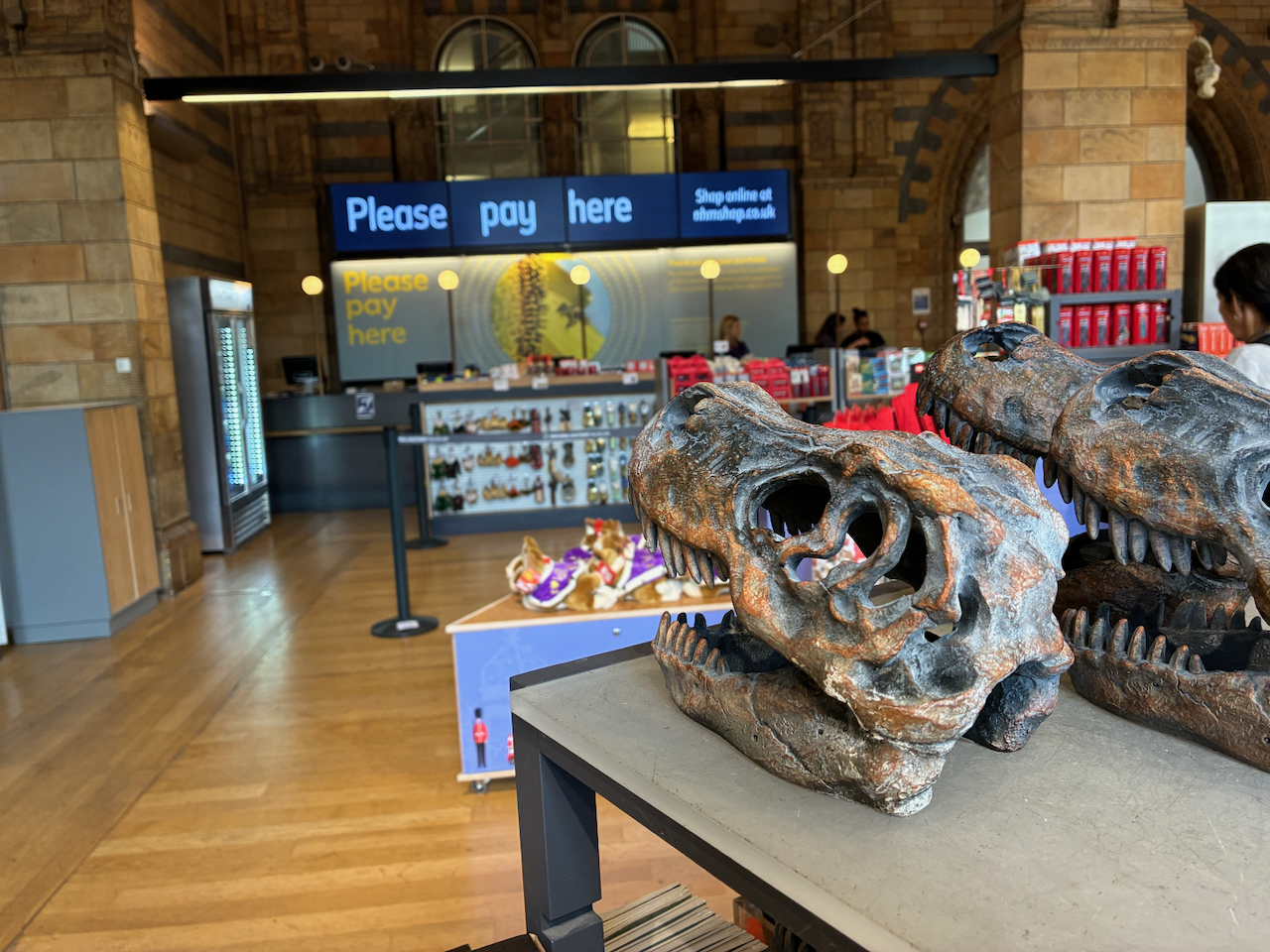 Inside the Store: Natural History Museum London Gift Shop - The ...