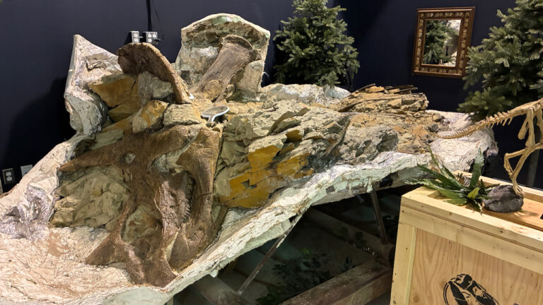 Dino Lab Inc: Where World-Class Paleontology Meets Interactive Tourism ...